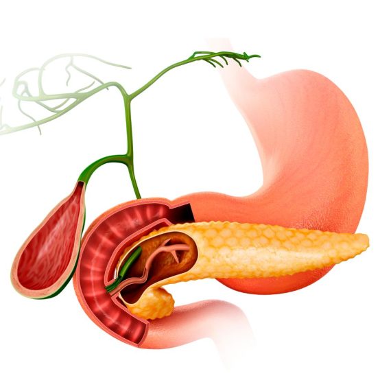 What is the pancreas - Liver and Pancreatic Transplant Surgeon in Dubai ...